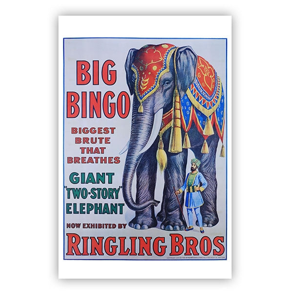 Ringling Bros. and Barnum & Bailey Big Bingo Poster – Official Ringling ...